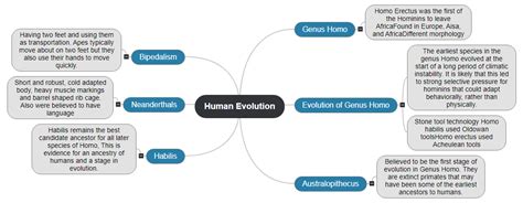 Human Evolution Mindview Mind Mapping Software