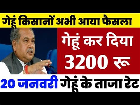 gehu ka bhav aaj ka गह कसन क खशखबर gehu bhav kab badhega
