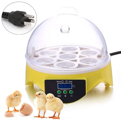 Las Mejores Incubadoras de Huevos de Gallinas Patos Codornices y más