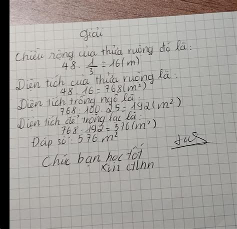 M T Th A Ru Ng H Nh Ch Nh T C Chi U D I M Chi U R Ng B Ng Hi U