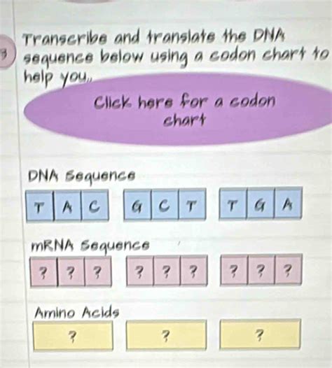 Solved Transcribe And Translate The Dna Sequence Below Using A Codon