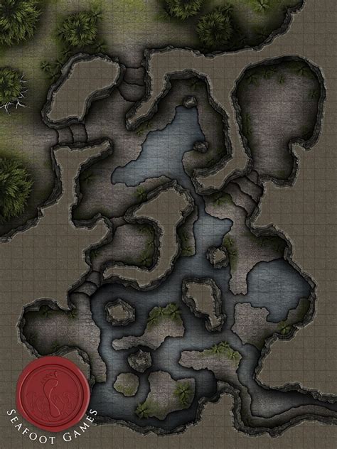 Seafoot Games Wellspring Caverns 40x30 Battlemap Dungeon Maps