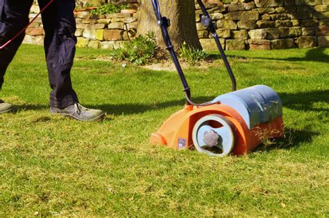 Wertykulacja trawnika wiosną dlaczego jest tak ważna Agroinfo