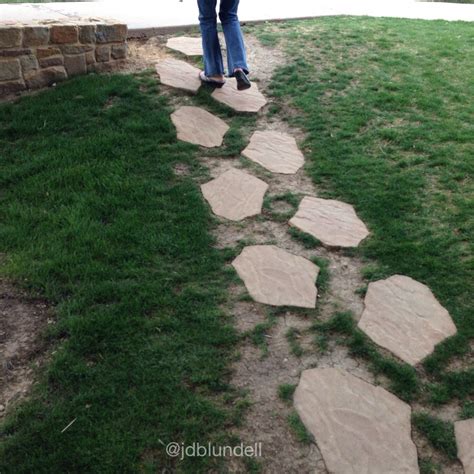 Paving The Cow Paths Jonathan D Blundell