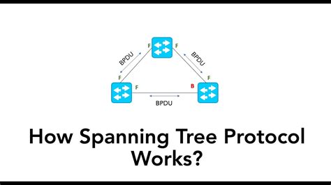 How STP Works Spanning Tree Protocol CCNA 200 301 YouTube