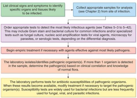 Infectious Disease Flashcards Quizlet