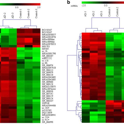 The Heat Map And Hierarchical Clustering Of The Top Differentially