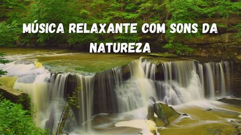 Música relaxante sons da natureza YouTube
