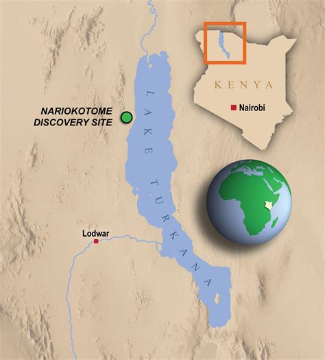 All About Turkana Boy Turkana Basin Institute