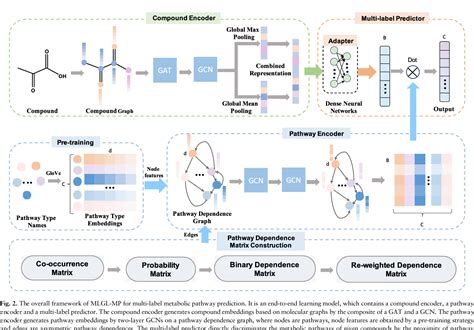 figure 1 from mlgl mp a multi label graph learning framework enhanced by pathway