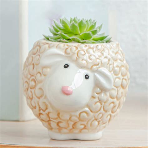 Kawaii Mini Pot de fleurs en céramique plantes succulentes dessin