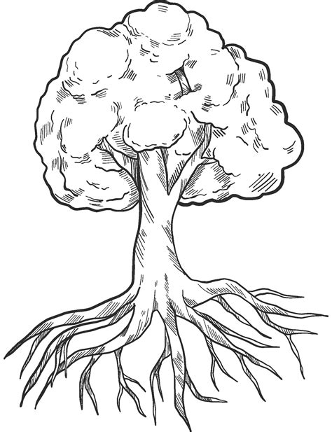 Tree With Roots Coloring Page ColouringPages