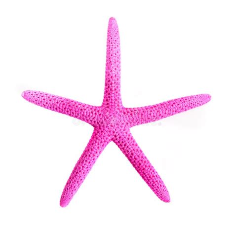 Estrela Do Mar Cor De Rosa Imagem De Stock Imagem De Estrela 29404469