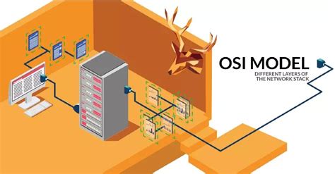 Cập nhật hơn 87 về mô hình osi ra đời năm nào mới nhất coedo vn