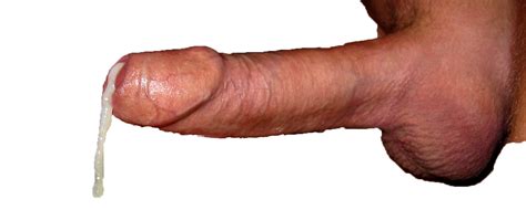 Template Png Photos Porn Photo