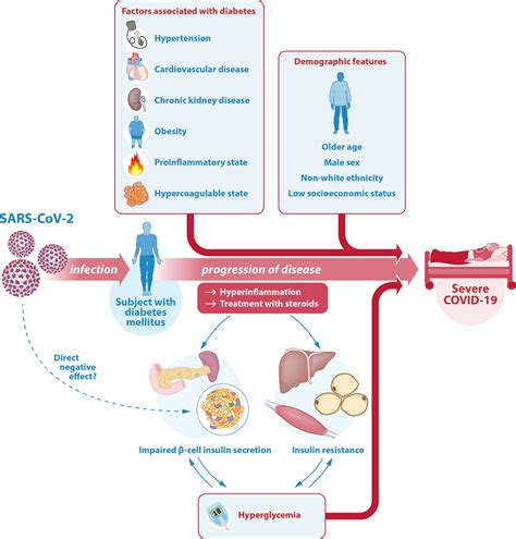 Diabetes Mellitus Complications Pathophysiology