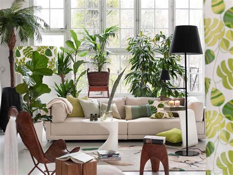 Tổng quan plants in room decor Ý nghĩa và cách sử dụng cây trang trí
