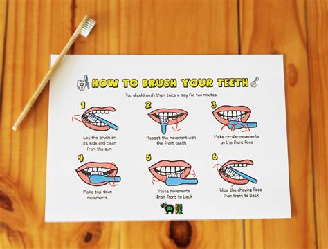 How To Brush Your Teeth PDF Printable Dental Guide Toothbrush Brush