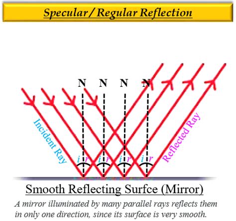 When Light Falls On A Smooth Polished Surface Most Tutorix