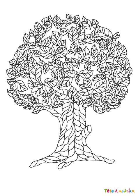 Coloriage arbre 2 avec Tête à modeler