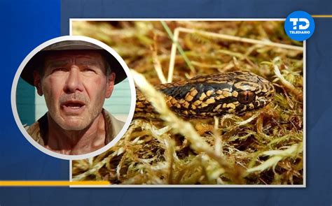 Harrison Ford el nombre de la serpiente descubierta en Perú