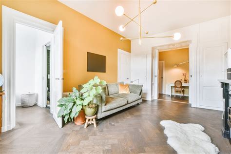 Introduce 104 Imagen Quelle Sont Les Couleurs Qui Vont Avec L Orange