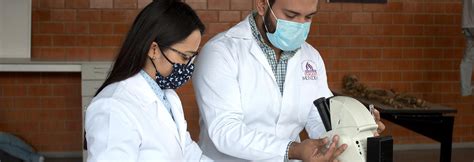 Maestría en Criminología Universidad Humani Mundial