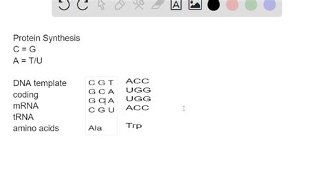 Solved Question Use The Codon Table A Copy Of The Codon Table Is On