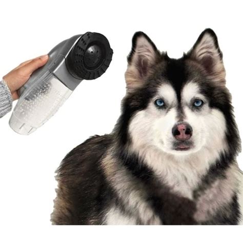 Masseur Aspirateur De Poils Sans Fil Pour Chien Et Chat Achat Vente