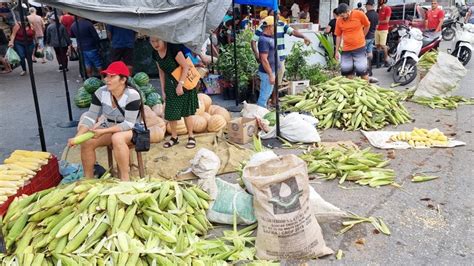 NA FEIRA DE CUPIRA PE TEM UVA R 4 00 CARNE R 23 00 COCO VERDE R 1
