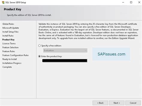 MSSQL Server 2019 Installation Guide SAPissues