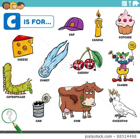 Letter C Words Educational Set With Cartoon Stock Illustration