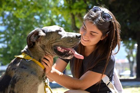 Día Mundial del Perro por qué se celebra el 21 de julio
