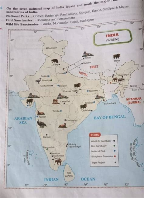 2 On The Given Political Map Of India Locate And Mark The Major Sanctuar
