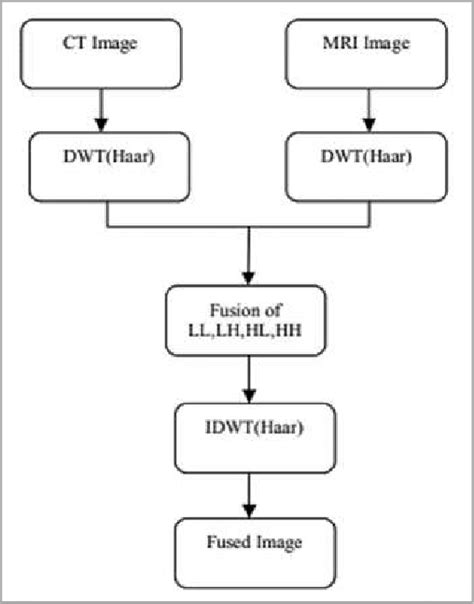 haar wavelet transform and medical image fusion hwt based medical image download scientific