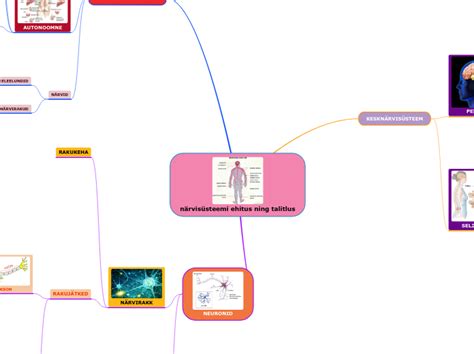 närvisüsteemi ehitus ning talitlus Mind Map