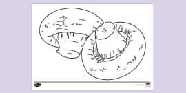 Mushroom Colouring Page Colouring Sheets Teacher Made