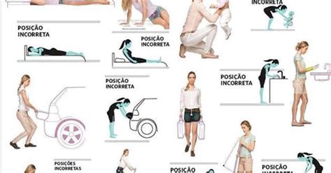 Ciências e Biologia A ANATOMIA DE UMA BOA POSTURA