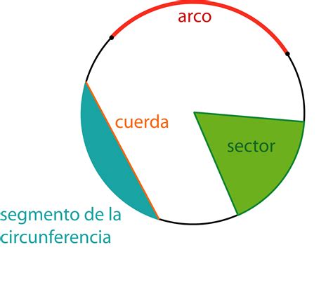La Circunferencia Y Sus Partes Carpeta Aprende Con Serlo Modafinil24