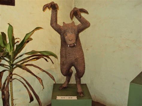 7 Mitos del paraguay Leyendas OrigenMoñai Luisón