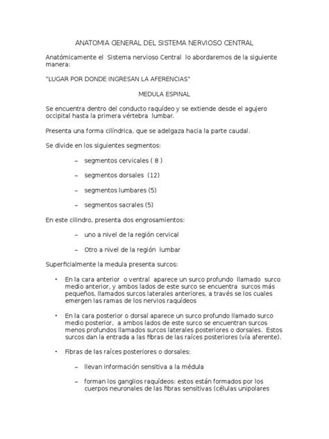 Pdf Anatomia Del Sistema Nervioso Dokumen Tips Hot Sex Picture