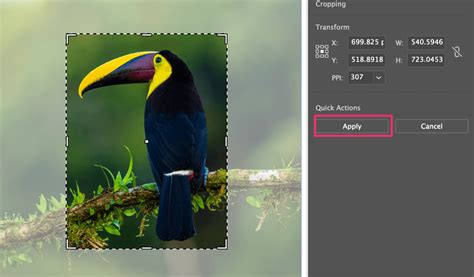 2 Easy Ways To Vectorize An Image In Adobe Illustrator