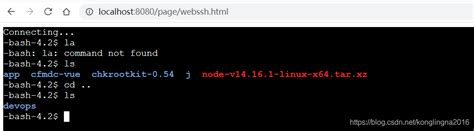 xterm js vue springboot 实现webssh vue springboot ssh csdn博客