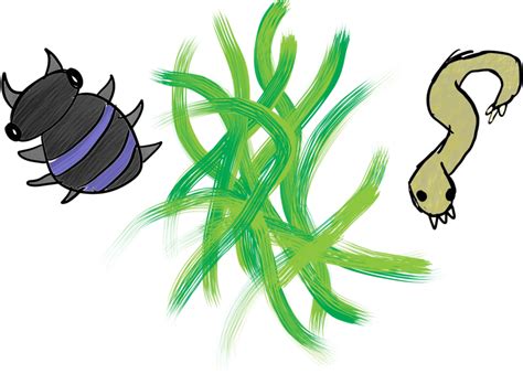 Decomposer Drawing Plant Clipart Full Size Clipart