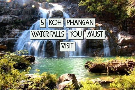 Top Rated Cannabis Dispensaries In Koh Phangan Review