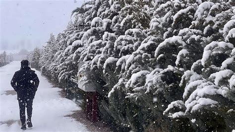 Son Dakika Meteoroloji 24 Kasım hava durumu raporunu yayımladı