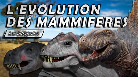 L évolution des mammifères Intégrale Évolution Paléontologie