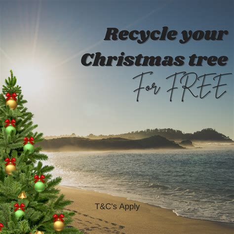 Recycle Your Christmas Tree For FREE
