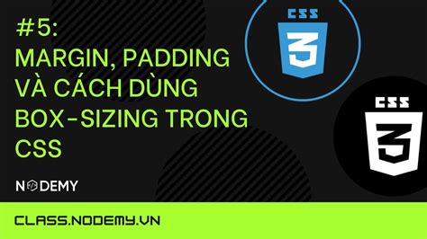 Css C N B N B I Margin Padding V C Ch D Ng Box Sizing Trong