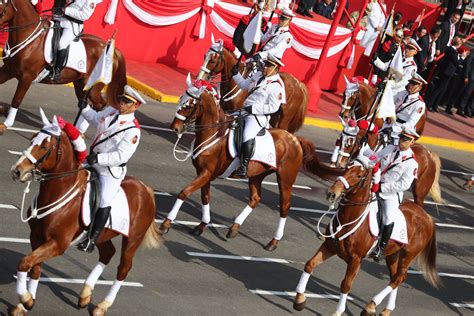 Fiestas Patrias Agrupamiento Hipomovil En La Gran Parada Y Desfile